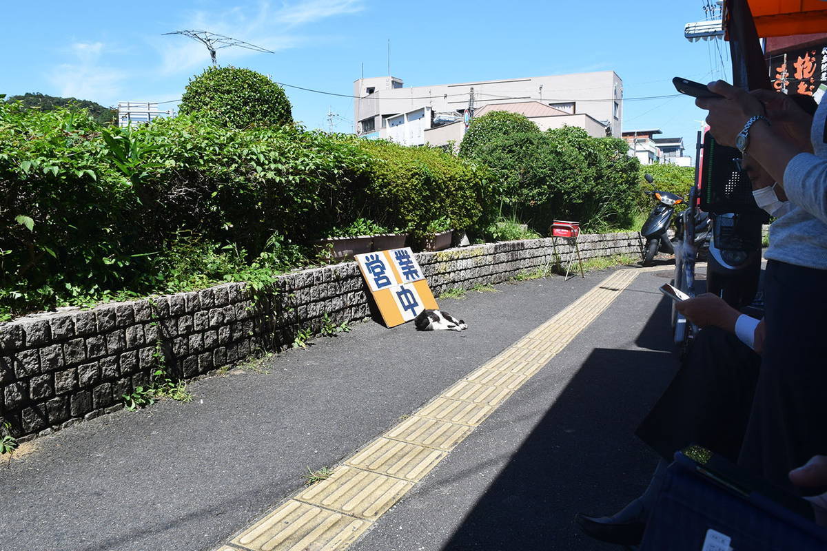 ゆず